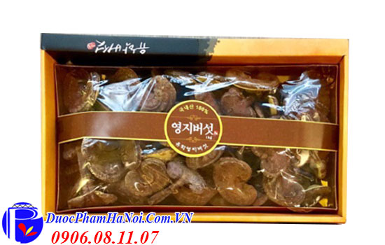 Nấm Linh Chi Bao Tử Hàn Quốc Thượng Hạng Hộp 1kG Chính Hãng